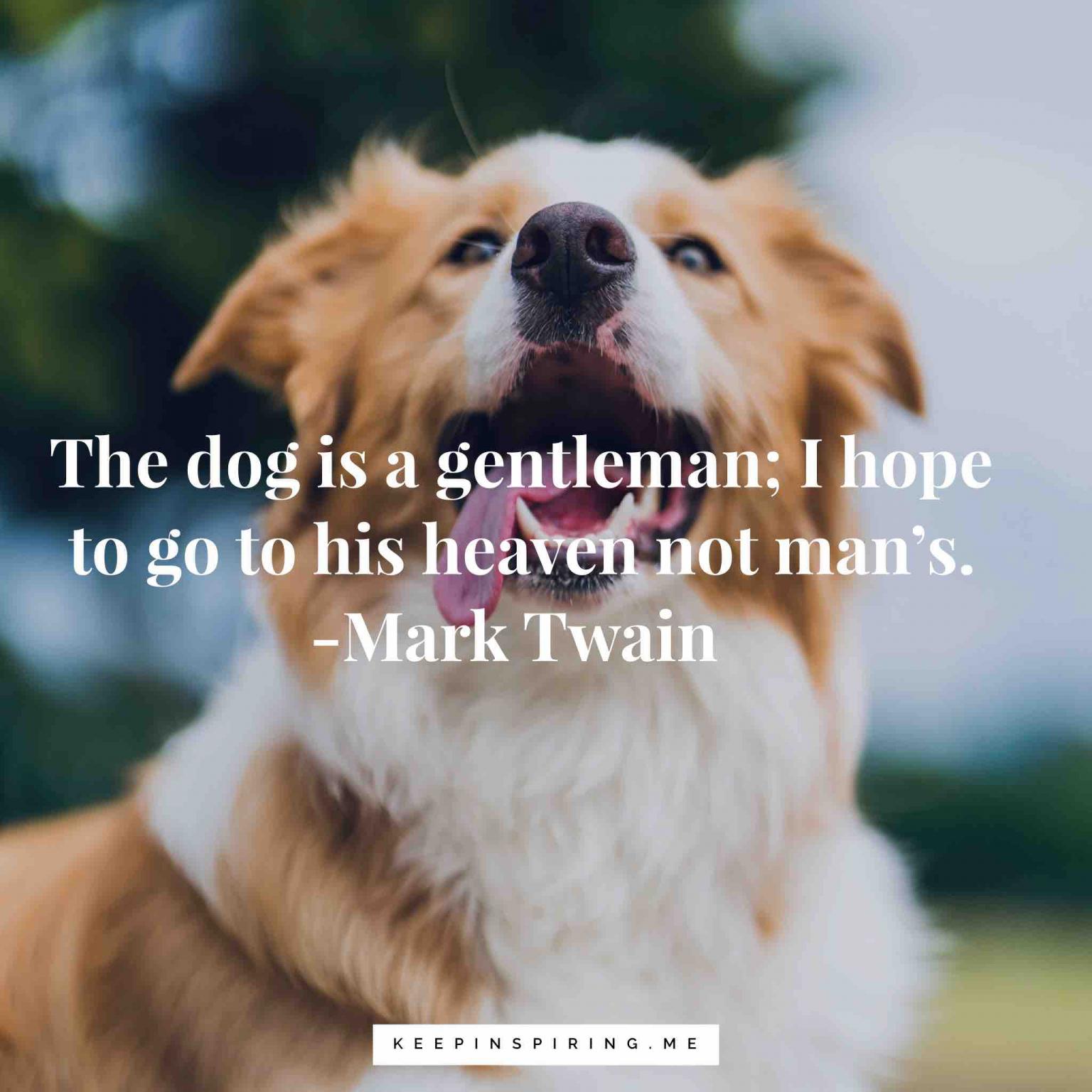 Mark Twain Quotes Full of Wit and Wisdom | Keep Inspiring Me