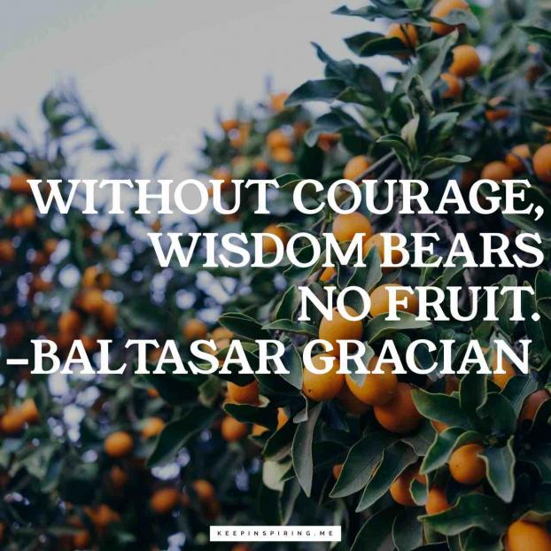 Courage Quotes to Make You Feel Courageous | Keep Inspiring Me