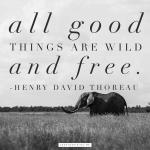 Henry David Thoreau Quotes | Keep Inspiring Me