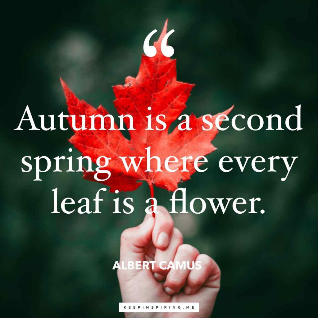 Fall Quotes And Sayings For Autumn Keep Inspiring Me Fall Quotes And Sayings For Autumn Keep Inspiring Me