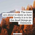 Fall Quotes and Sayings for Autumn | Keep Inspiring Me