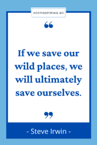 150 Nature Quotes to Honor the Natural World | Keep Inspiring Me