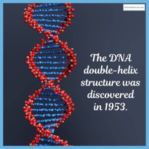 Inspiring Events in Human History | Keep Inspiring Me